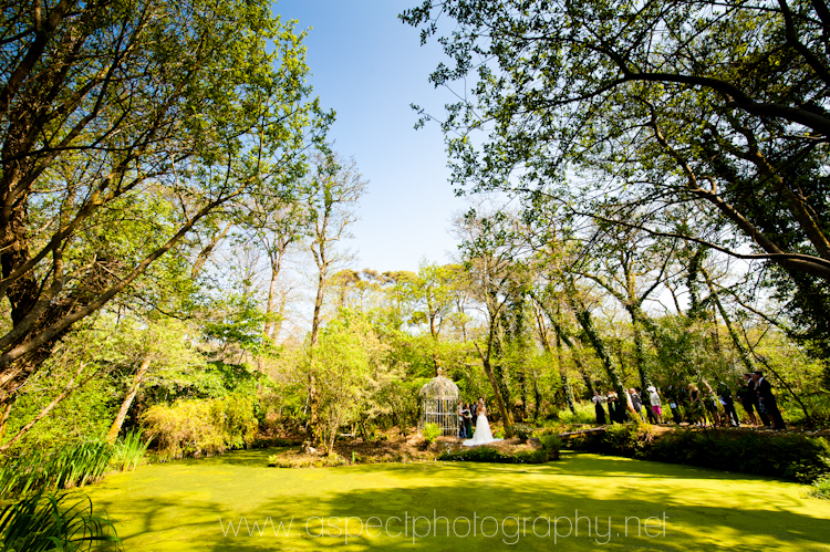 Inishbeg Wedding-Baltimore Co. Cork-Shane O'Neill - Aspect Photography