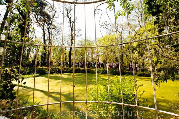 Inishbeg Wedding-Baltimore Co. Cork-Shane O'Neill - Aspect Photography