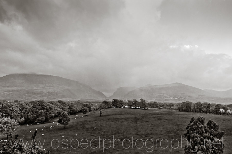 Fossa Church Wedding, Killarney, Co Kerry, Ireland